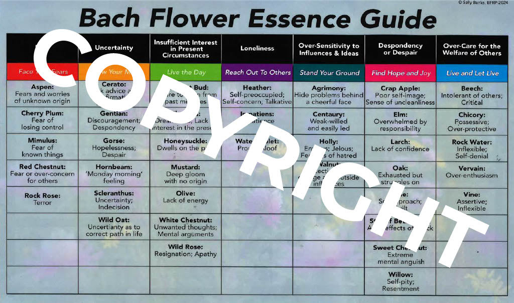 Bach Flower Essence Guide Chart – Thriving 4 Health