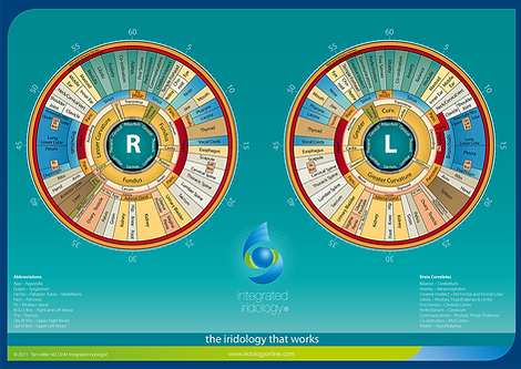 Iris Chart – Thriving 4 Health